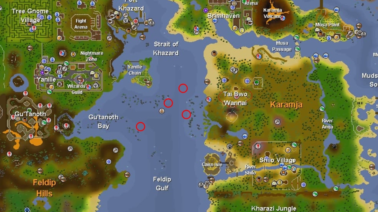 If you're looking for Pirate Shipwrecks in OSRS here's where to find ...