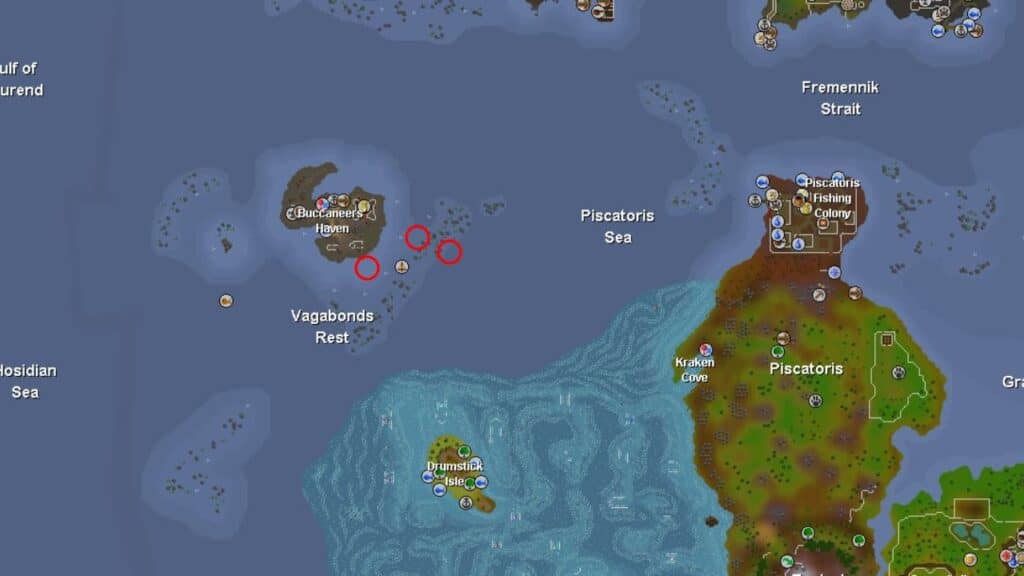 If you're looking for Pirate Shipwrecks in OSRS here's where to find ...