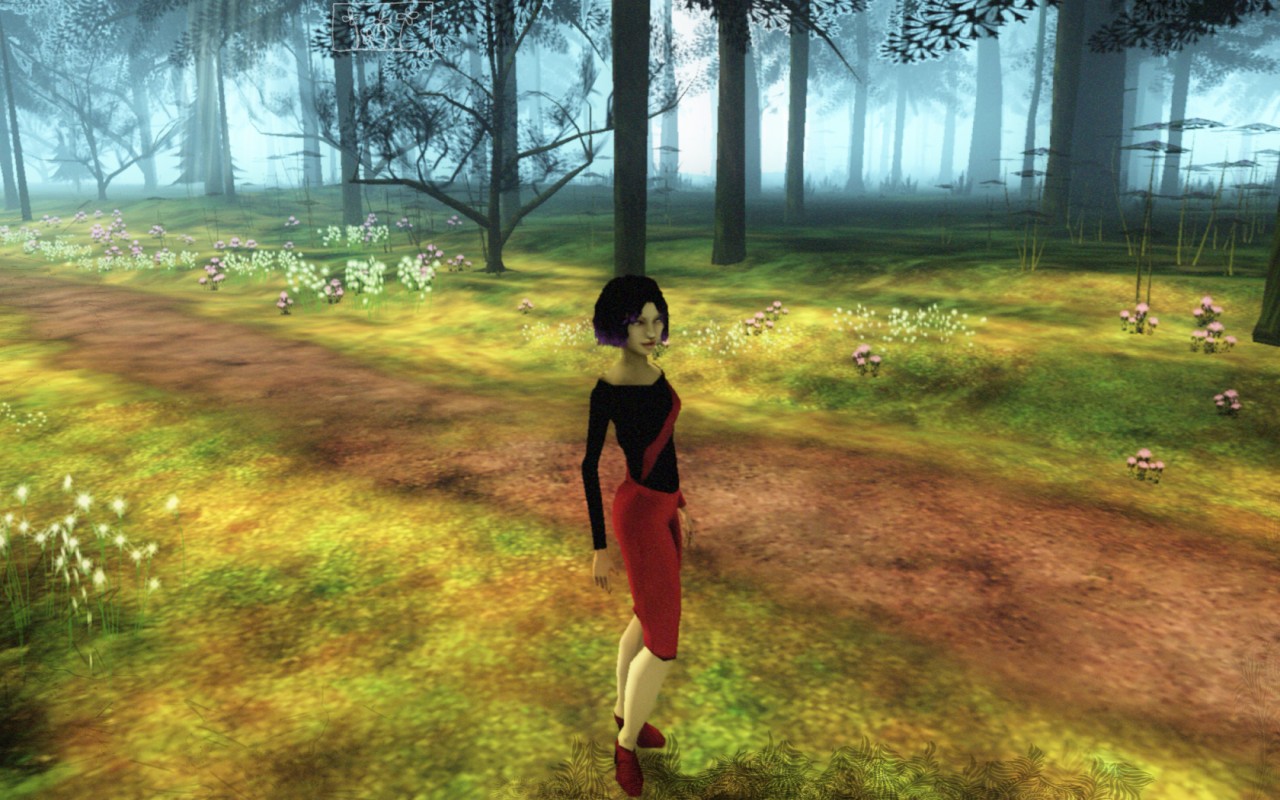 The Path (2009) - Game details | Adventure Gamers