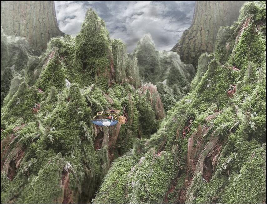 Haluz 2 (2007) - Game details | Adventure Gamers