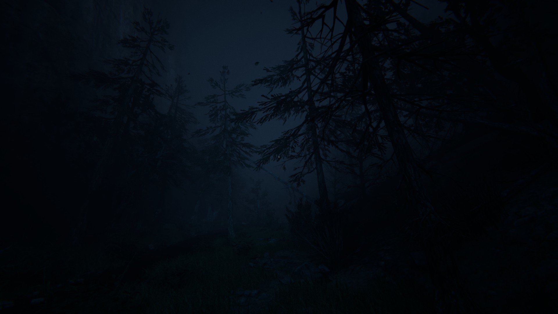 Outlast 2 (2017) - Game details | Adventure Gamers
