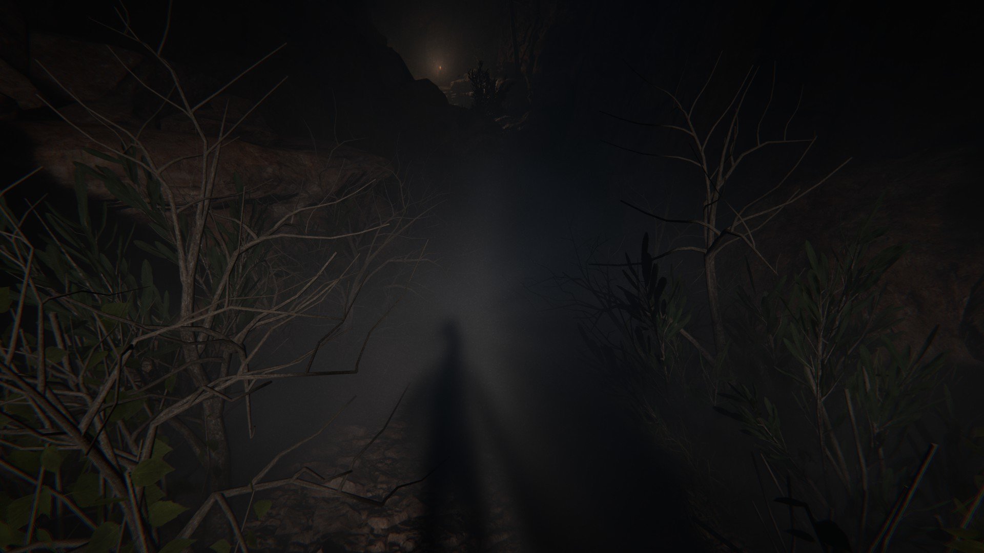 Outlast 2 (2017) - Game details | Adventure Gamers