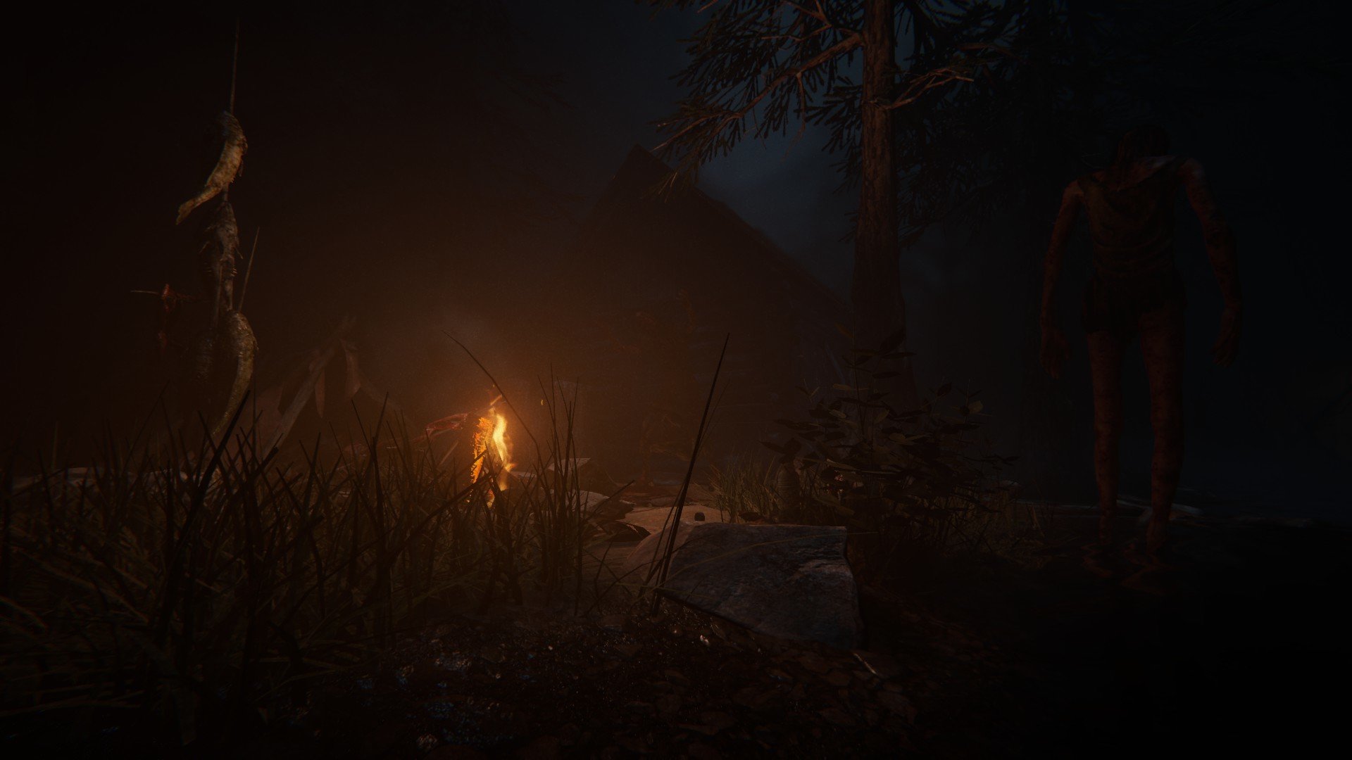 Outlast 2 (2017) - Game details | Adventure Gamers