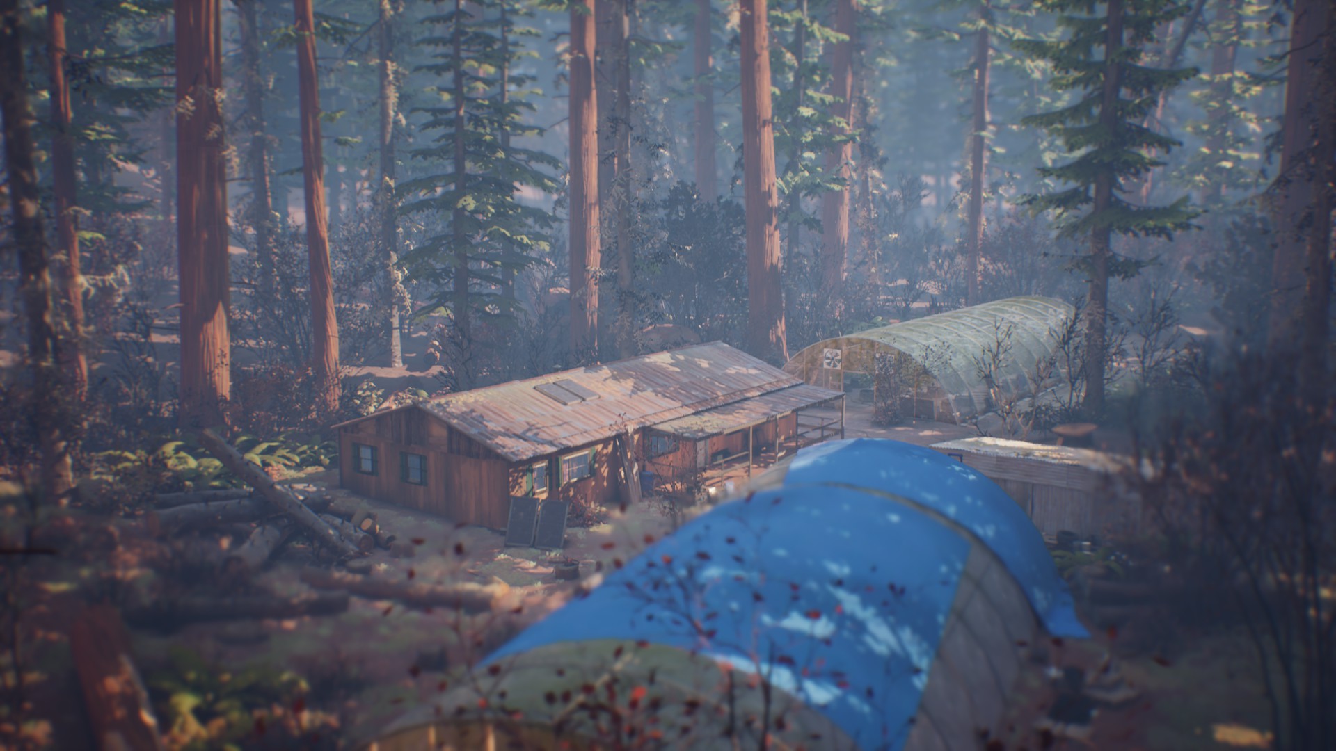 Life Is Strange 2: Episode 3 - Wastelands (2019) - Game details ...