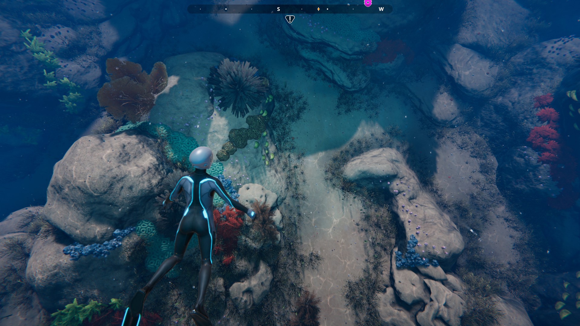 Beyond Blue (2020) - Game details | Adventure Gamers