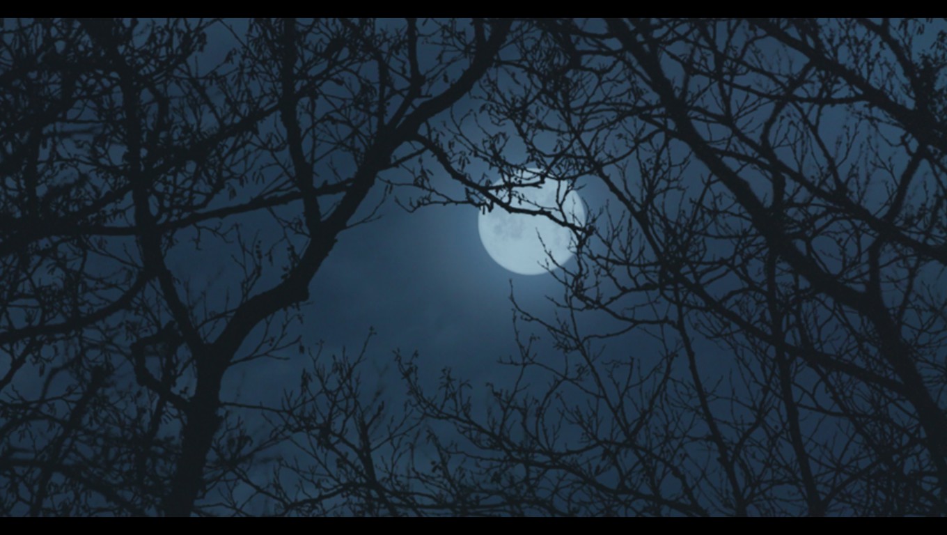 Bloodshore (2021) - Game details | Adventure Gamers