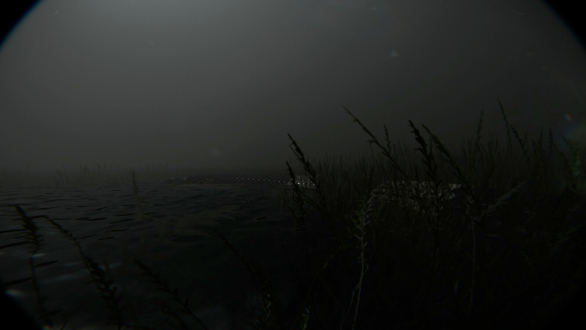 DIGESTED (2025) - Game details | Adventure Gamers