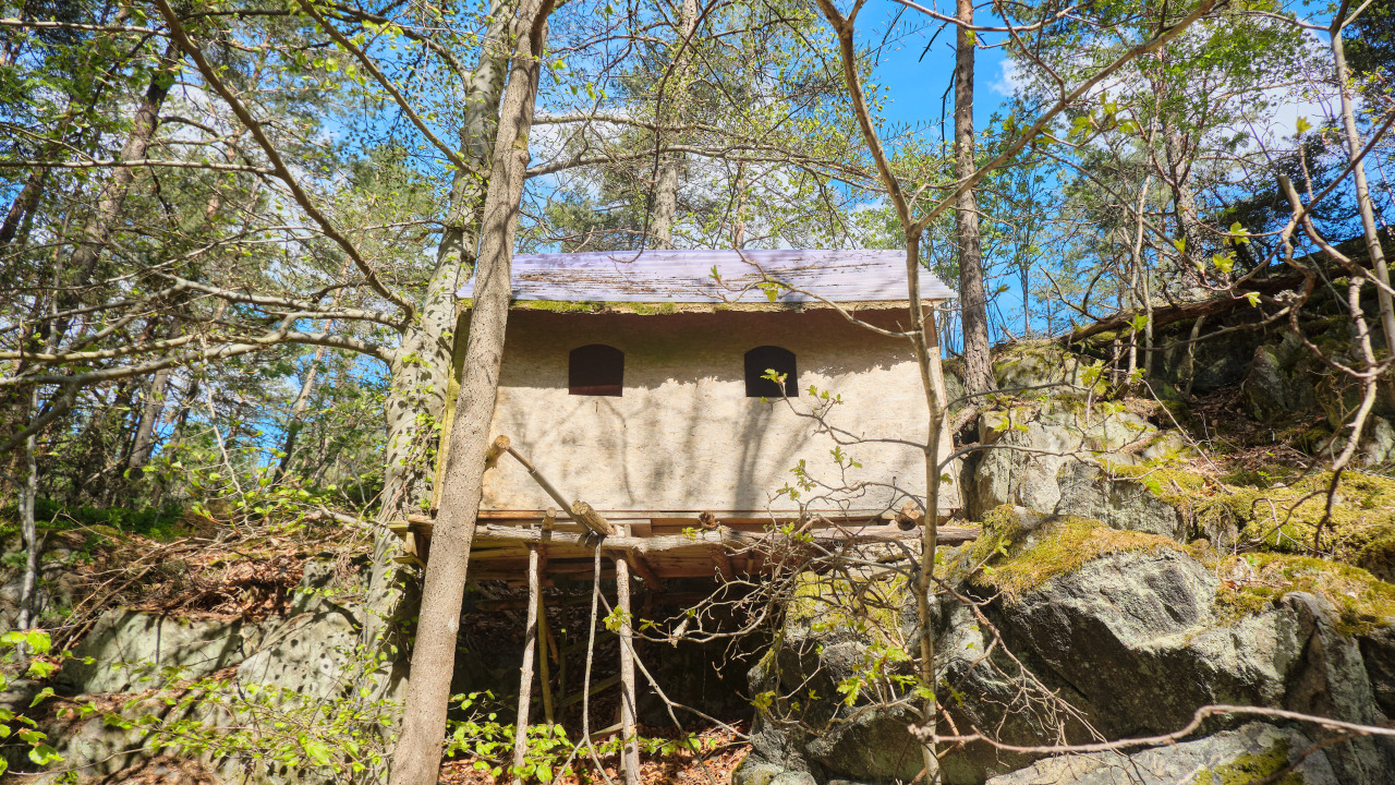 Murder Malady - A Carol Reed Mystery (2025) - Game details | Adventure ...