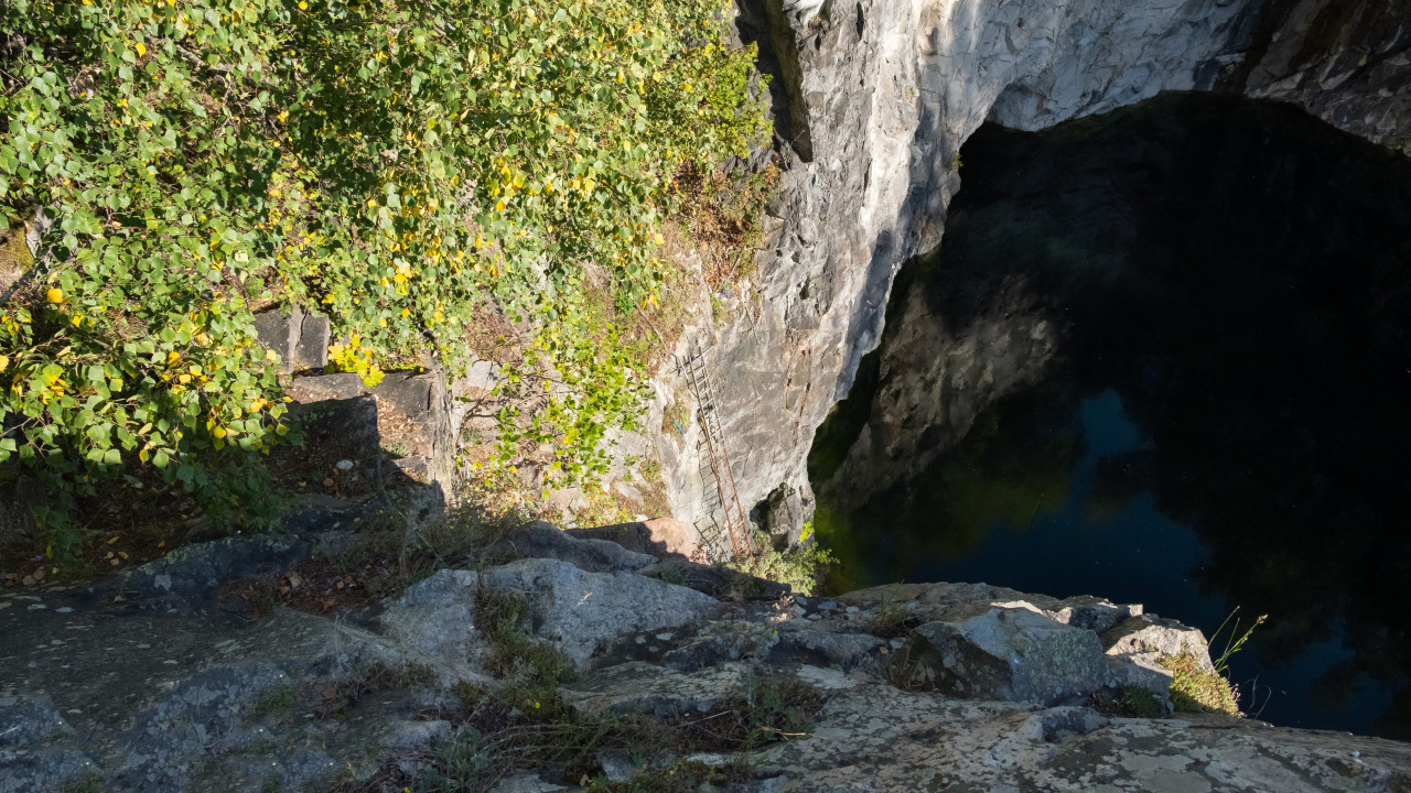 Murder Malady - A Carol Reed Mystery (2025) - Game details | Adventure ...