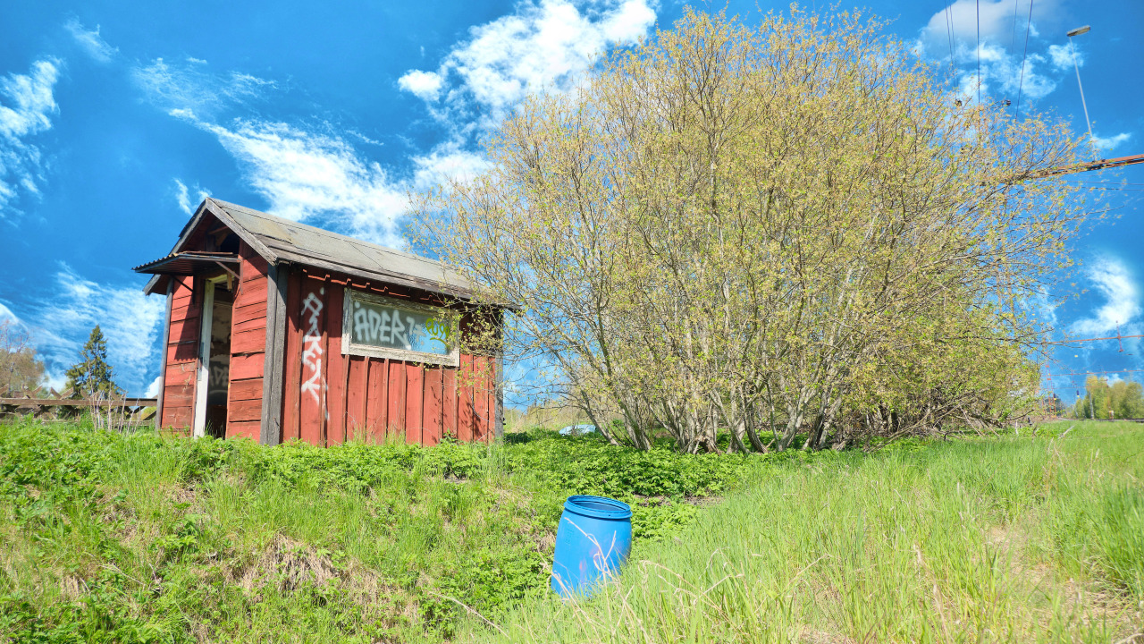 Murder Malady - A Carol Reed Mystery (2025) - Game details | Adventure ...