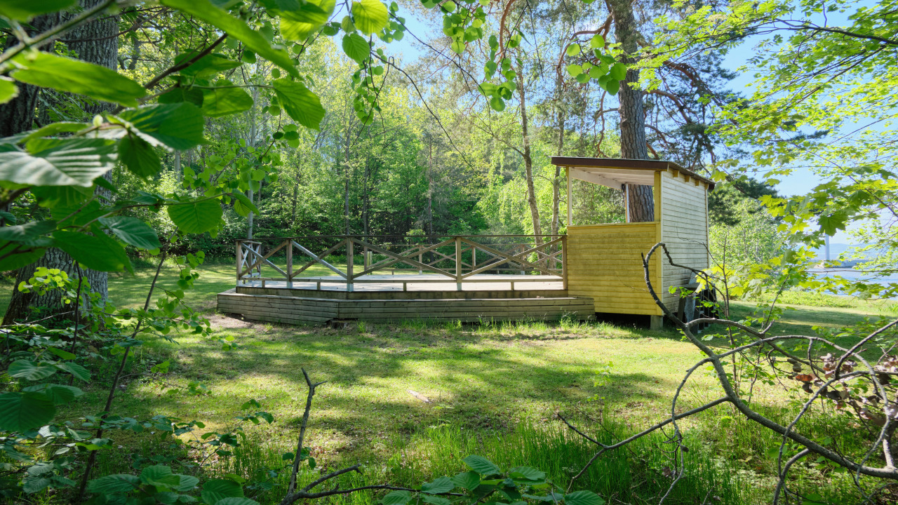 Murder Malady - A Carol Reed Mystery (2025) - Game details | Adventure ...