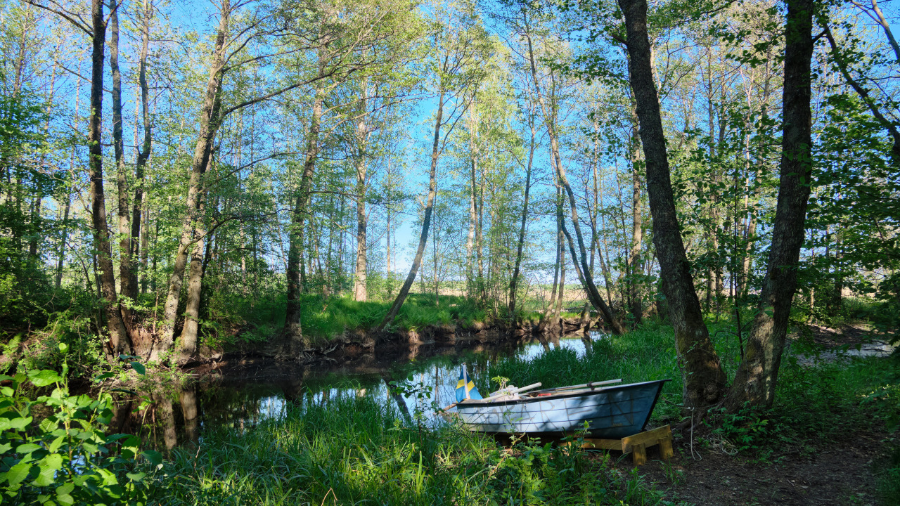 Murder Malady - A Carol Reed Mystery (2025) - Game details | Adventure ...