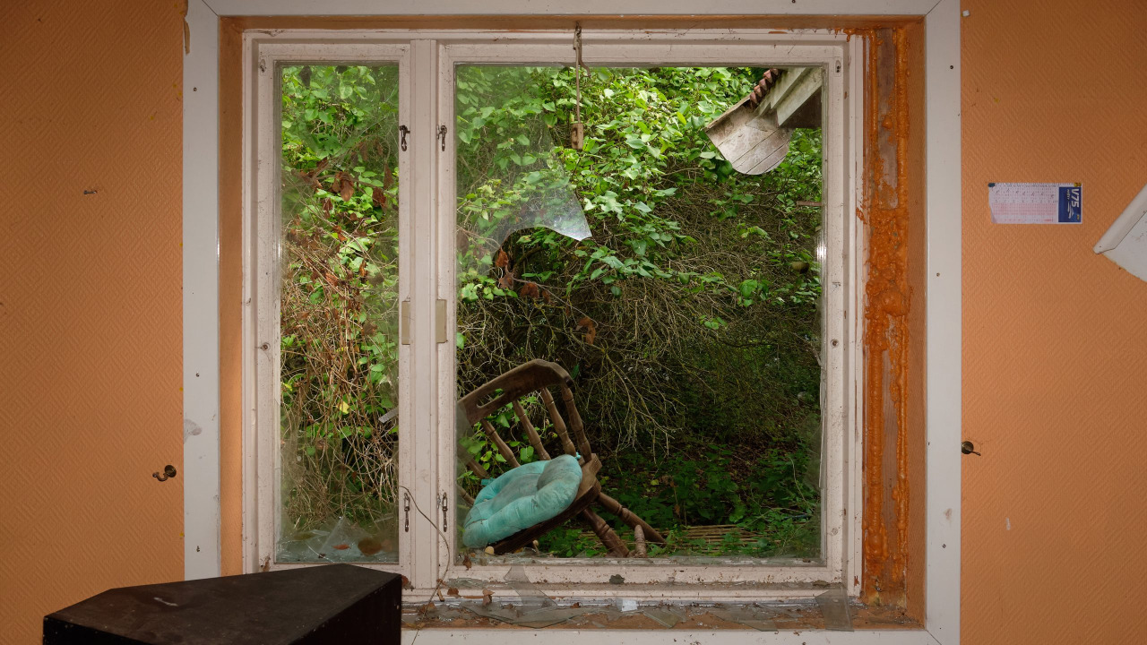 Murder Malady - A Carol Reed Mystery (2025) - Game details | Adventure ...