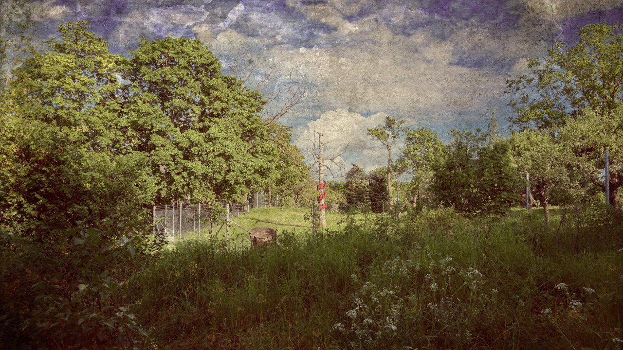 Murder Malady - A Carol Reed Mystery (2025) - Game details | Adventure ...