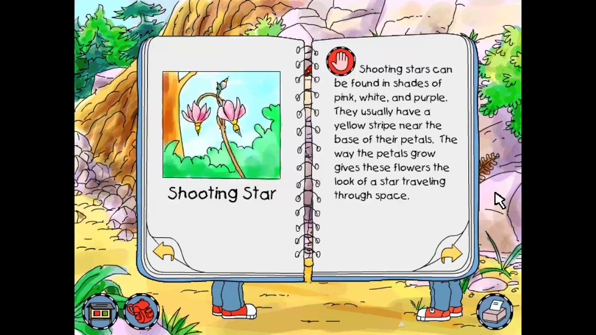 Arthur's Camping Adventure (2025) - Game details | Adventure Gamers